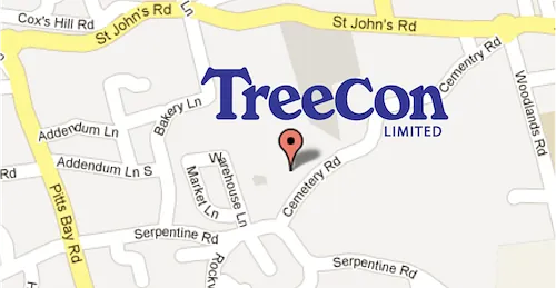 Treecon Limited Bermuda | Installation